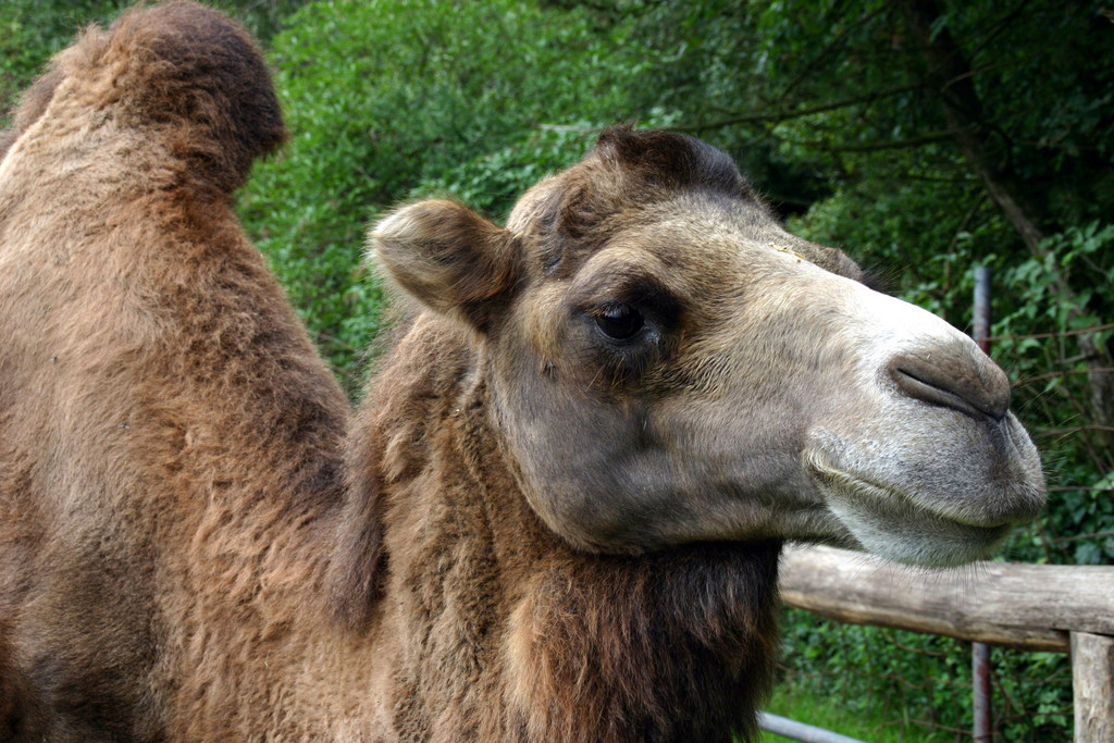 Für kleine und große Naturfreunde - Erleb was Wildes!